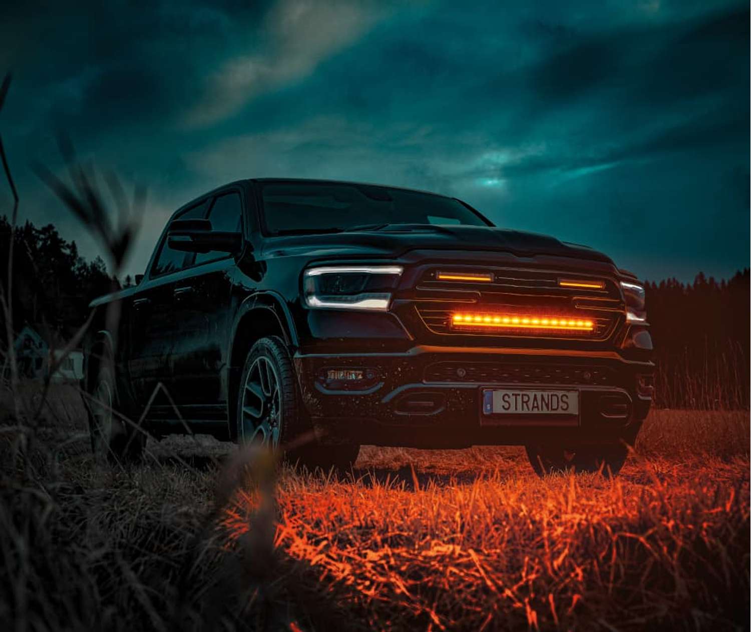 SIBERIA NG SR 32" - Strands